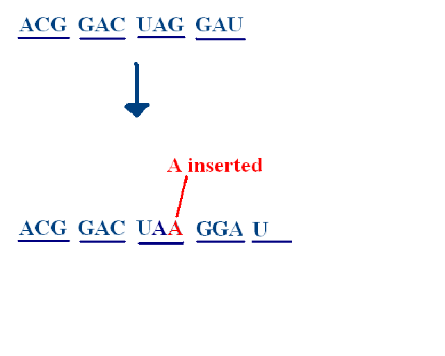Mutations Tutorial | Sophia Learning